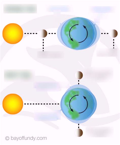 Tides Diagram Tidal Cycles And Lamina Thickness Variations As A