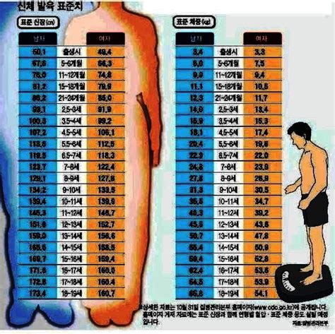 재만 헬스기구가 필요 없는 코어 강화를 위한 간단한 운동 3가지를 운동을 해보자 【플랭크】 팔꿈치를 바닥에 대고 몸을