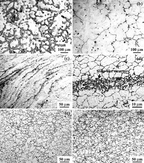 Optical Microstructure Of Az80 Samples A As Cast B Cast