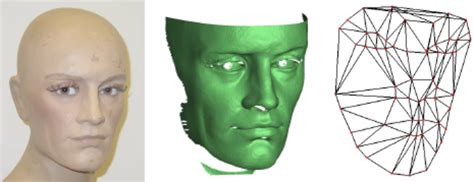 A Physical Model Used B Laser Scan Data Acquired C Opengl Built