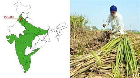 Top 10 Largest Sugarcane Producing States In India Tractorkarvan