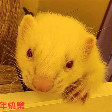 程思蓉 Chen Szu Jung • Threads Say More