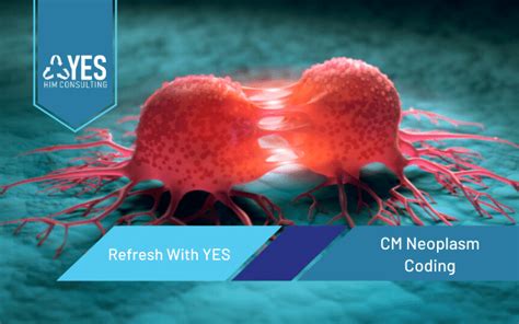 Icd 10 Cm Medical Coding Refresher Courses Icd 10 Coding Training