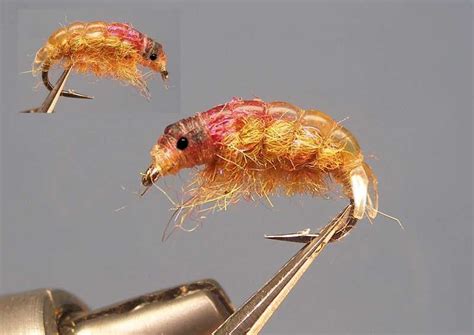 Sow Bug Fly Sow Bug Scud Fly Fishing Fly Tying Patterns Fish Pet