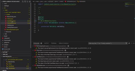 Error When Using Lombok Issue Redhat Developer Vscode Java GitHub