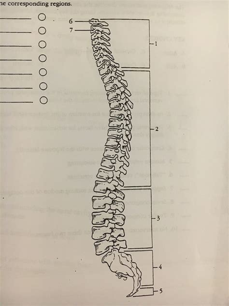 Aandp Chapter 5 Diagram Quizlet