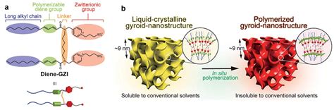 Making Gyroid Polymer Films To Speed Up Proton Conduction Chemical Science Blog