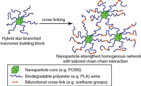 Long Memory Polymer Plastic Chain