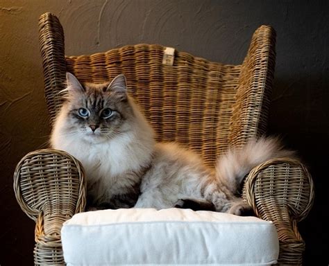 github fashionablylatesoftk csharp exercise exercise repo