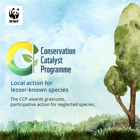 Conservationcatalystprogramme Conservation Conservationcatalysts