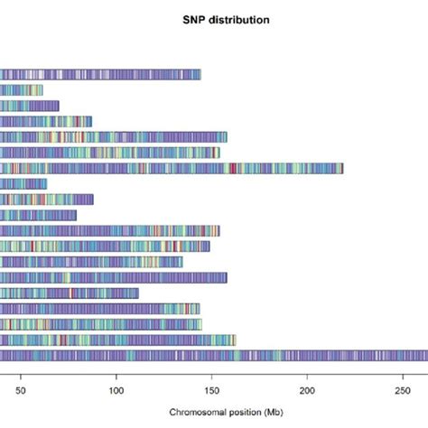 Distribution Of The Sequenced Snps On All Chromosomes The Y Axis Download Scientific Diagram
