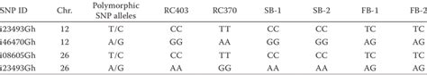 evaluation of polymorphism for single nucleotide polymorphism snp