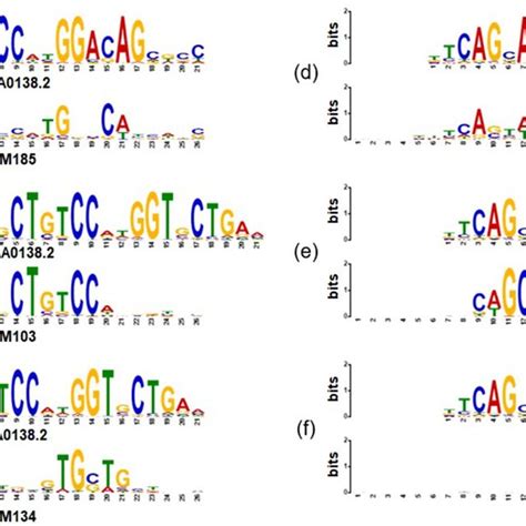 Visualization Of Cnn Kernels Resulting In Exceptionally High Aupr Download Scientific Diagram