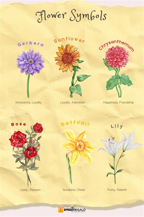 Flowers Have Been Used To Express Emotions And Sentiments For Centuries
