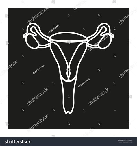 Female Reproductive System Icon Vector Royalty Free Stock Vector