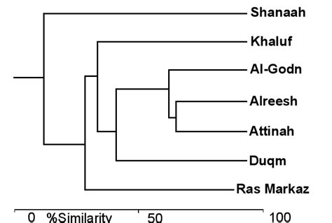 Dendrogram Showing The Similarity Of The Bycatch Diversity Among Download Scientific Diagram