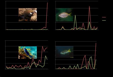 Trends In Warm Affinity Reef Associated Fish Within And Adjacent To