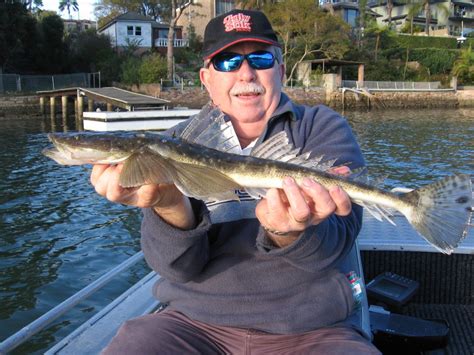 Targeting Flathead With Bait Shakespeare