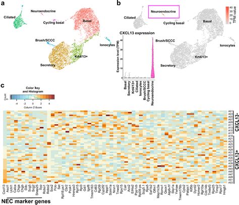 In Silico Analysis Of Single Cell Mrna Sequencing Data Revealed Cxcl13
