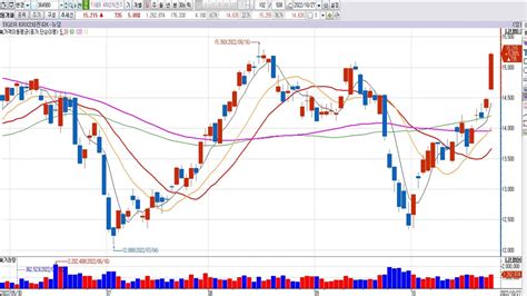 코오롱티슈진대성파인텍현우산업팬젠와이제이게임즈화일약품삼륭물산형지iandc피코그램알루코국일제지흥국에프엔비넥스트아이한창산업코닉오토메이션한미글로벌경동