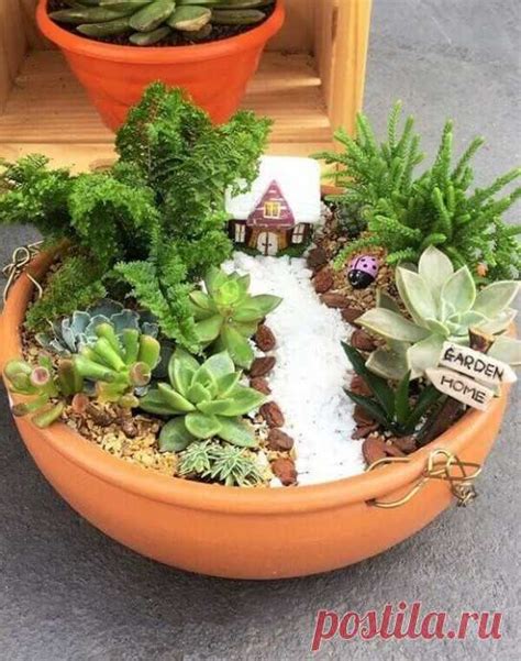 Изумительные композиции в цветочных горшках | сад на подоконнике | Постила