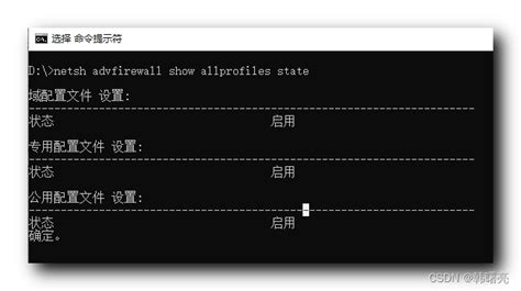 【错误记录】使用 Jedis 操作 Redis 数据库报错 Jedisconnectionexception Redis 连接超时故障排查点 绑定配置 保护模式 防火墙