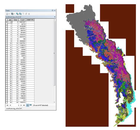 Error With Feature To Raster Conversion In Arcgis For Desktop Geographic Information Systems