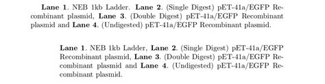 How To Prevent Line Breaks Within In Description TeX LaTeX Stack Exchange