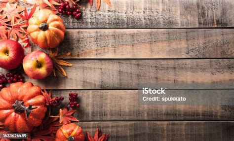 가을과 추수감사절 장식 개념은 어두운 나무 배경에 단풍과 호박으로 만들어졌다 평평한 위치 복사 공간이 있는 평면도 10월에 대한 스톡 사진 및 기타 이미지 Istock