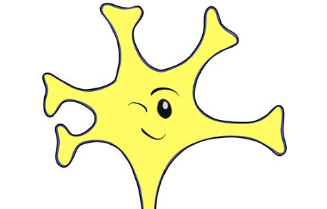 En Making Of The Neuron Es Caricatura De Neurona