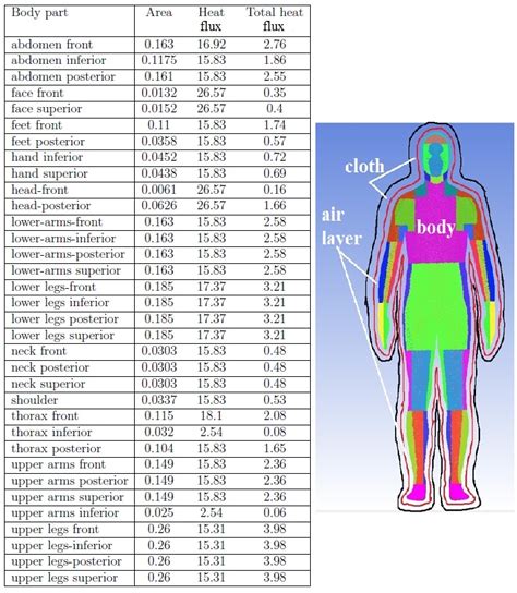 Distribution Of The Heat Flux In W M 2 Third Column And The Total