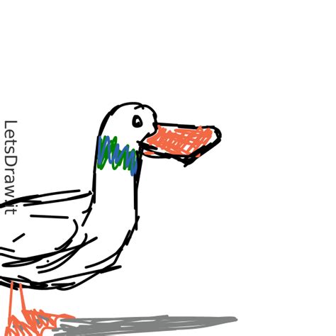 How To Draw Duck W Jdxtsz Png LetsDrawIt