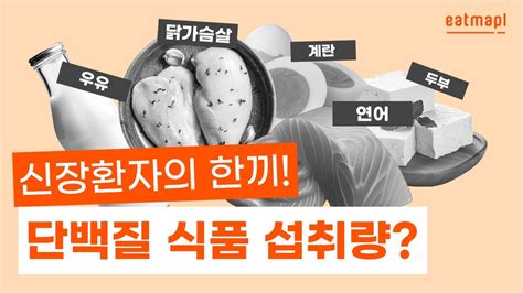 신장 환자의 한 끼의 단백질 식품 섭취량 알아보기🔍 신장에좋은음식 신장질환 신장병 저염식 투석 만성신부전 Youtube