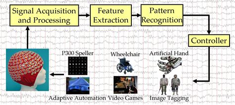 Transfer Learning For Brain Computer Interfaces Euclidean Alignment And Label Alignment Ieee
