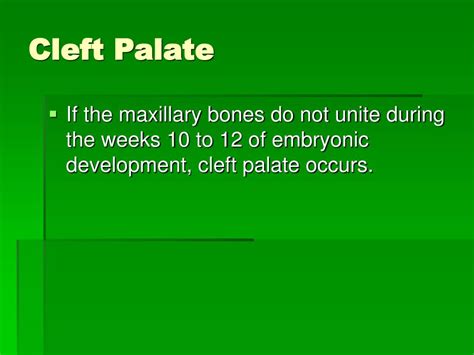 Ppt Axial Skeleton Powerpoint Presentation Free Download Id1064382