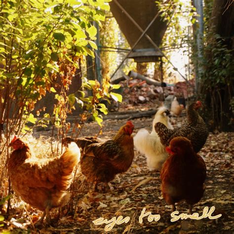 Eyes Too Small By Catbug Single Reviews Ratings Credits Song List Rate Your Music