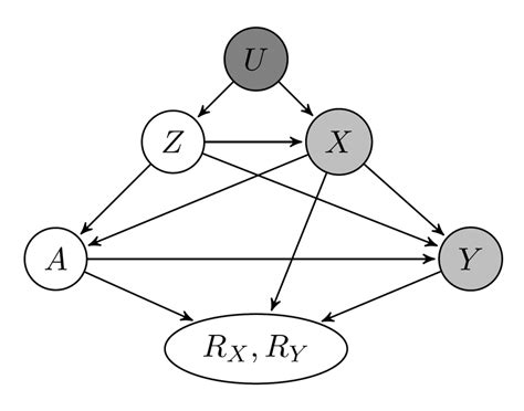 A Causal Direct Acyclic Graph Illustrating A Shadow Variable Approach