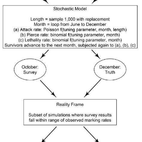 Simulation Of Sea Lamprey Attacks On A Population Of Lake Trout During Download Scientific