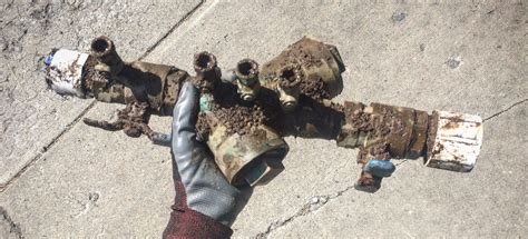 Irrigation Backflow Assembly Installation Faqs Deschutes Backflow