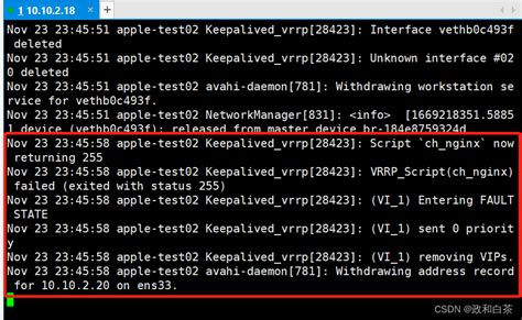 Keepalive Nginx 热备keepalive查节点状态 Csdn博客