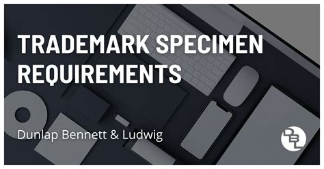 What Is Specimen And Example At Sarah Scoggins Blog