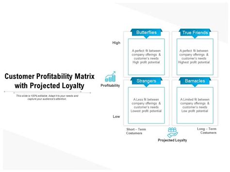 Customer Profitability Matrix With Projected Loyalty Presentation Graphics Presentation