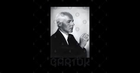 Bela Bartok Composer Sticker Teepublic
