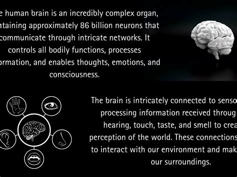 Expert Powerpoint Presentation Design And Template Services Upwork