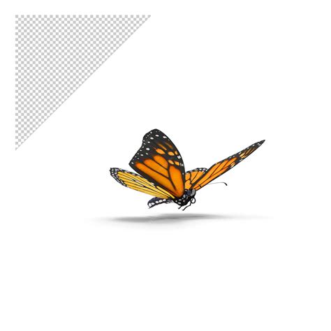 Animated Butterfly Flying