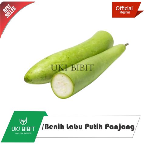 Jual Butir Benih Biji Labu Putih Panjang Blonceng Labu Air Labu Sayur Kukuk