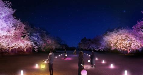 日本櫻花2023東京新宿御苑全新NAKED夜櫻光影展900株櫻花光影藝術打造超夢幻櫻花熱點