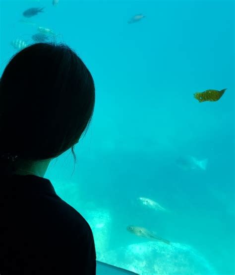 Adhd주의력 결핍 과잉행동 장애란 대표적인 증상과 종류 테스트까지