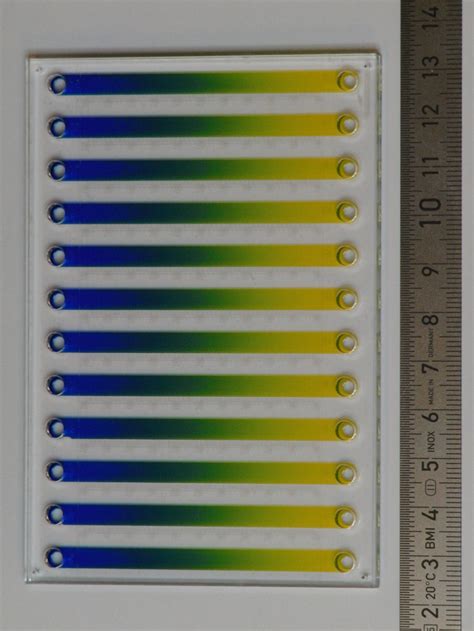 A Microfluidic Device For The High Throughput Screening Assay