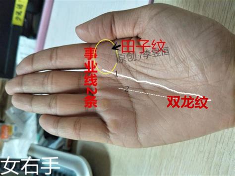 手相图解大全富贵手相大全手相富贵命图第4页大山谷图库